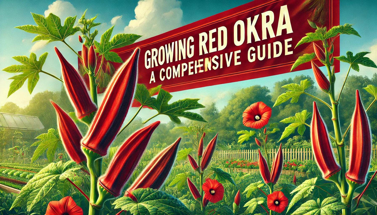 Growing Red Okra Guide & Benefits | Farmers Stop