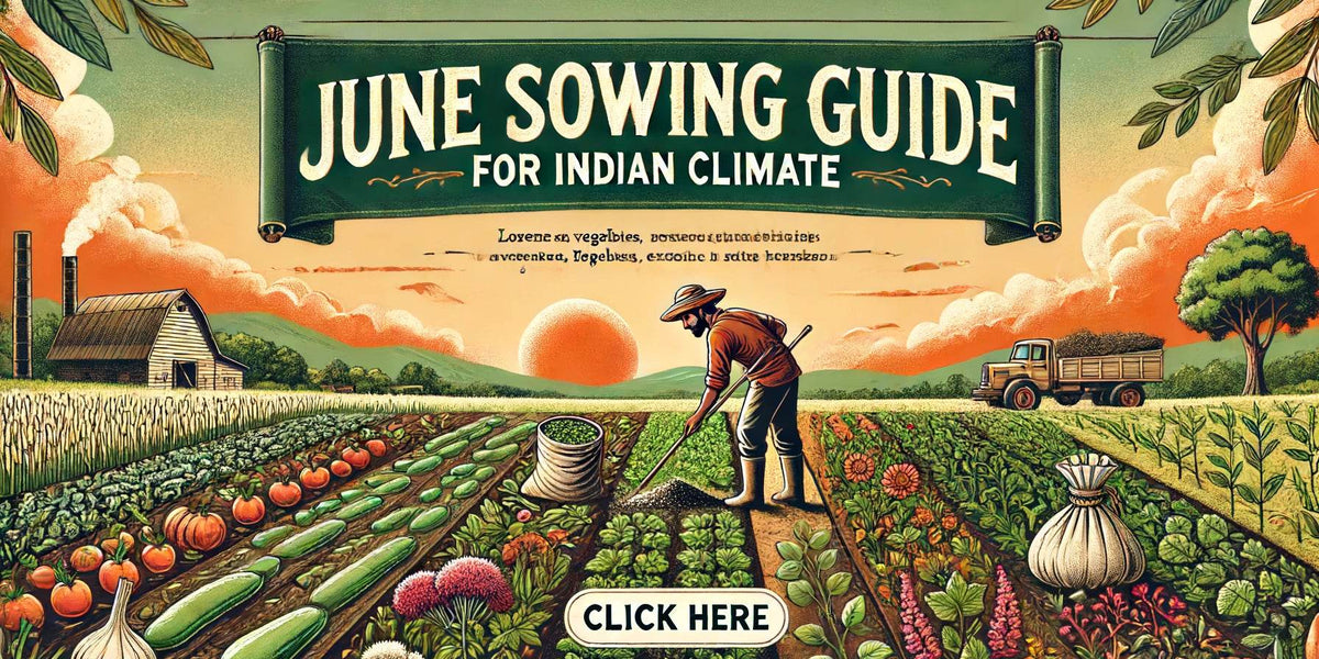June Sowing Guide for Vegetables, Flowers, and Exotic Herbs in Indian ...