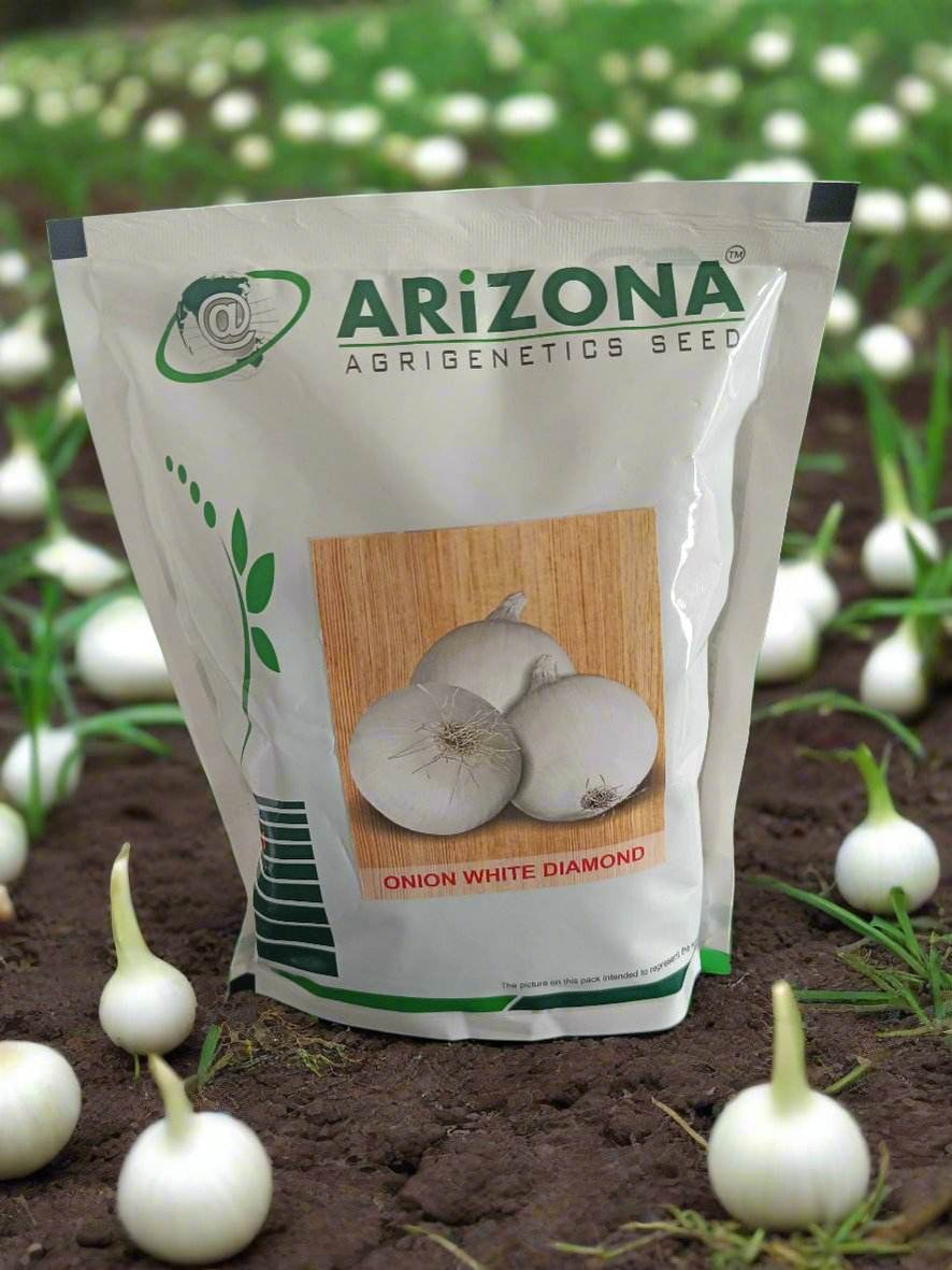Onion Seeds Online in India | Red & White Varieties | Farmers Stop