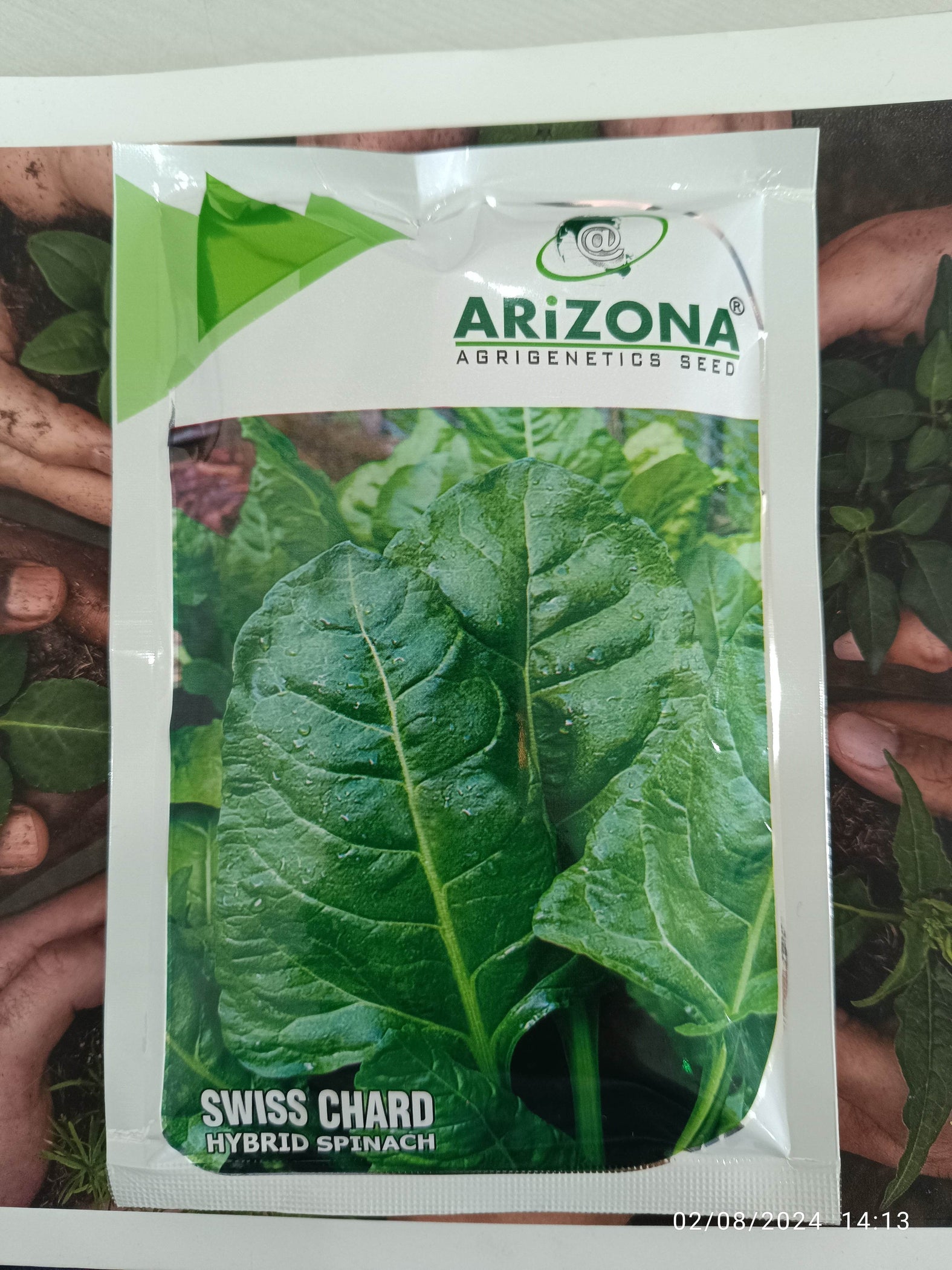Swiss Chard F1 Hybrid Spinach for Long Time Harvest (Arizona ...