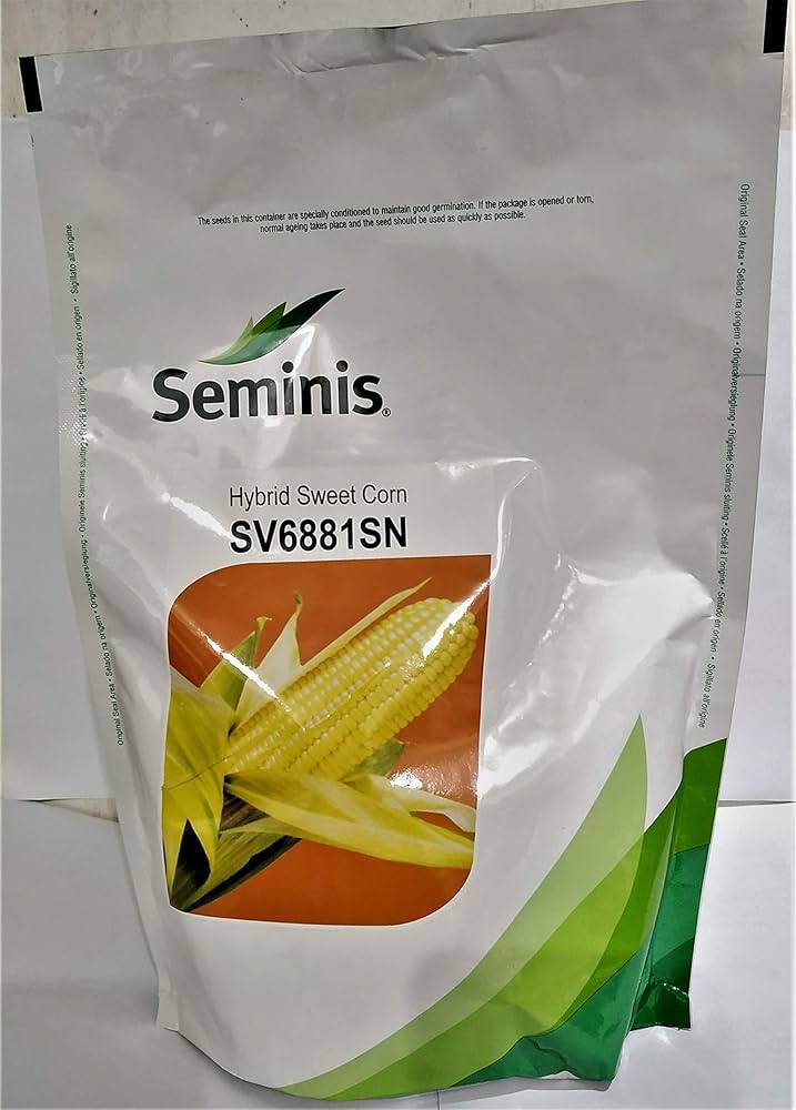 SV6881SN Hybrid F1 Sweet Corn (Bayer-Seminis) | Farmers Stop