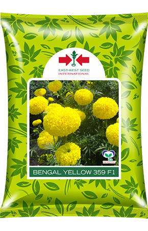 Marigold Yellow Flower Seeds