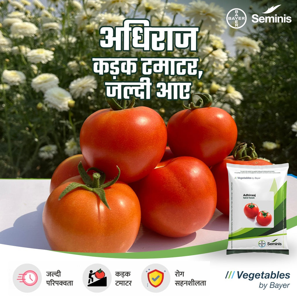 Seminis - High-Quality Vegetable Seeds for Commercial Growers | Farmers ...