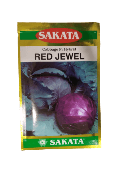 Buy Red Jewel F1 Hybrid Cabbage (Sakata) Seeds Online | Farmers Stop