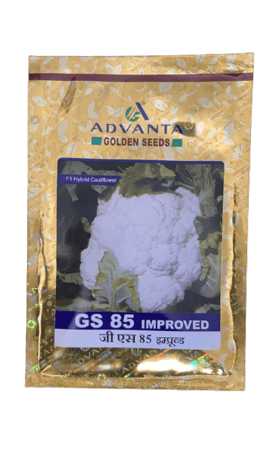 GS 85 IMPROVED F1 HYBRID CAULIFLOWER (ADVANTA )