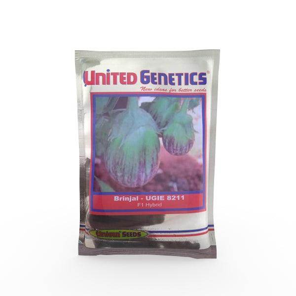 UGIE 8211 F1 Hybrid Brinjal (United Genetics, USA) | Farmers Stop