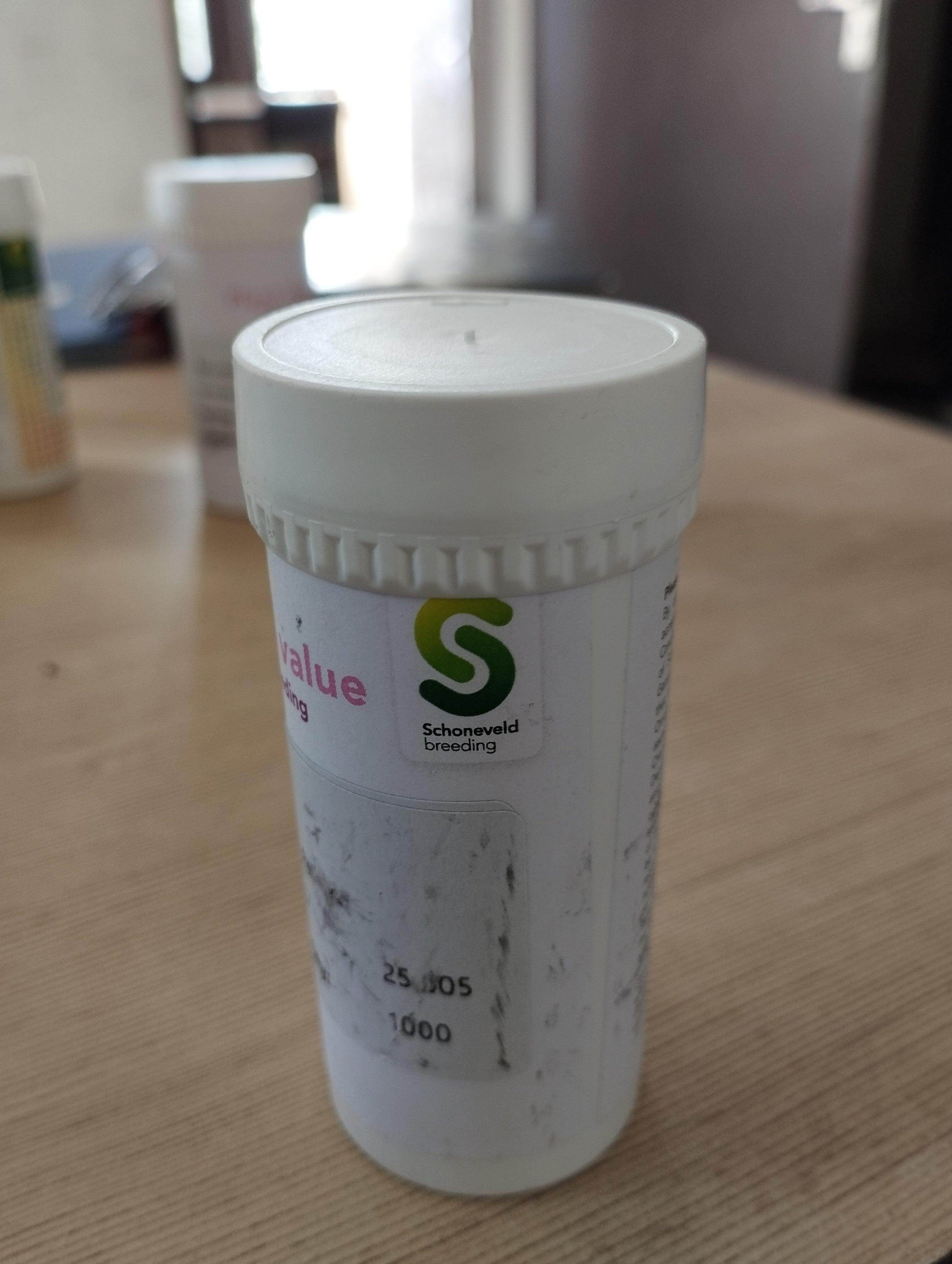 Ranunculus Sprinkles F1 Pelleted (Schoneveld breeding) | Farmers Stop