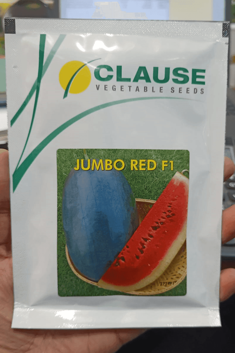 Buy Jumbo Red F1 Hybrid Watermelon (Clause Seeds) Online | Farmers Stop