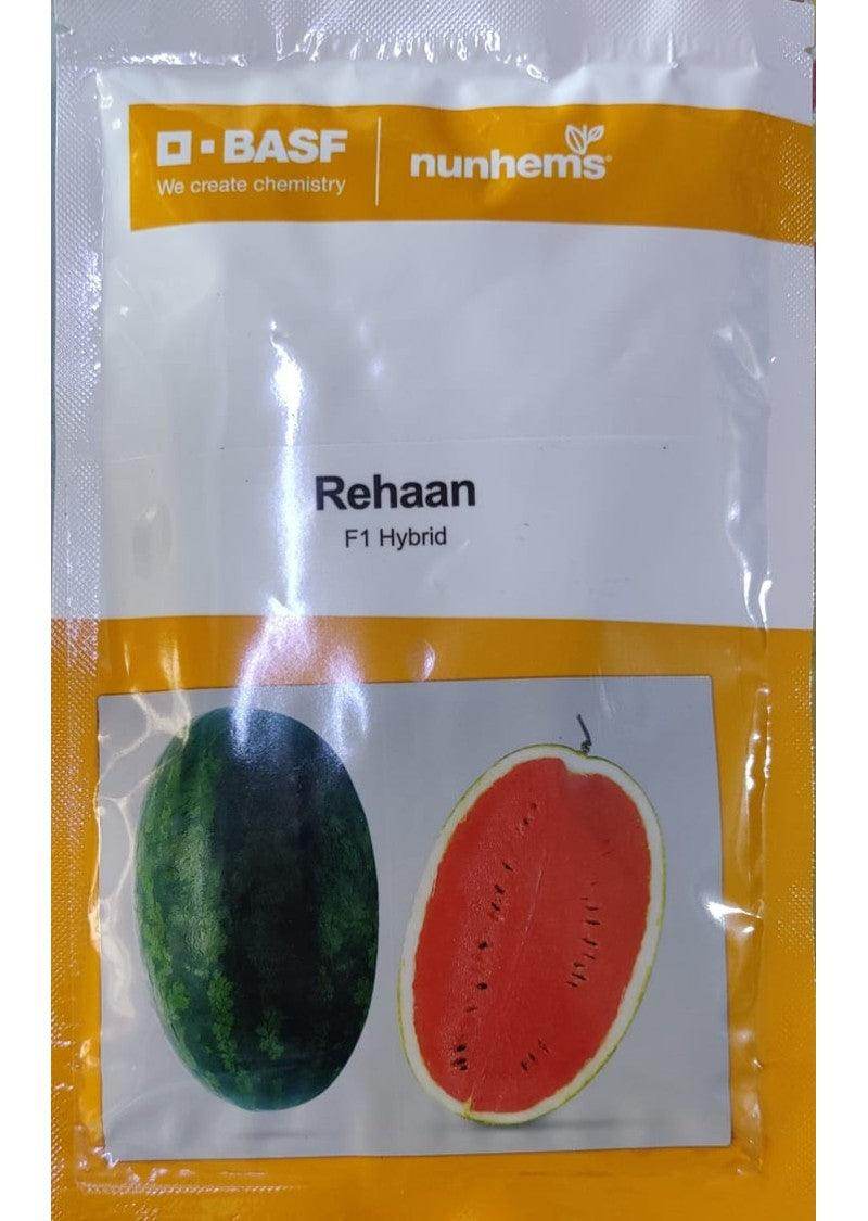 Buy Rehaan F1 Hybrid Watermelon (Nunhems) Seeds Online | Farmers Stop