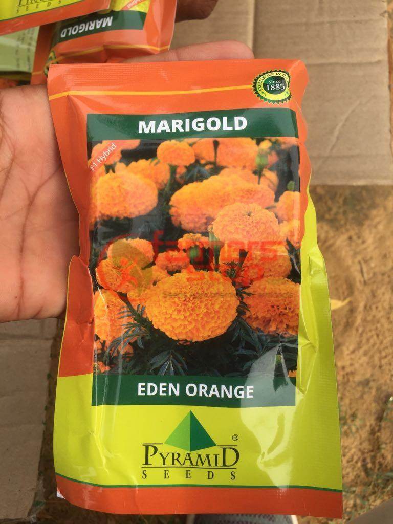 Eden Orange/ईडन ऑरेंज F1 Marigold (Pyramid Seeds) | Farmers Stop